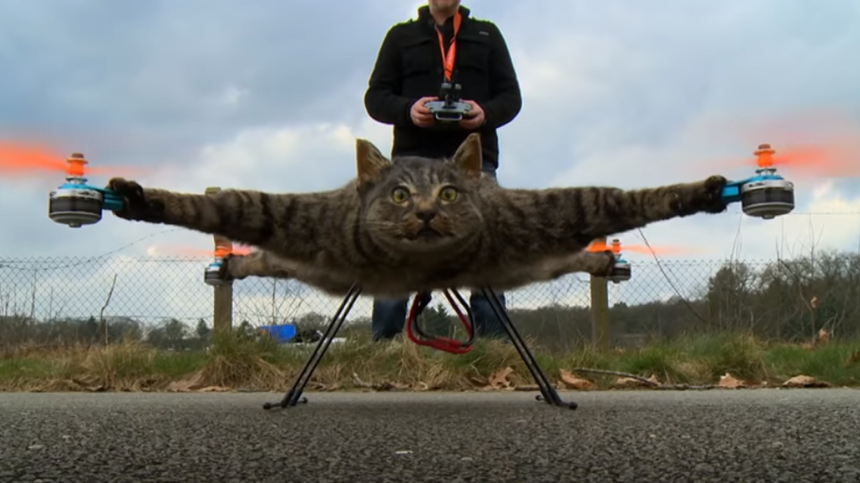 Web Draait Door: Nederlander maakt drone van zijn overleden kat - De Wereld Draait Door - BNNVARA